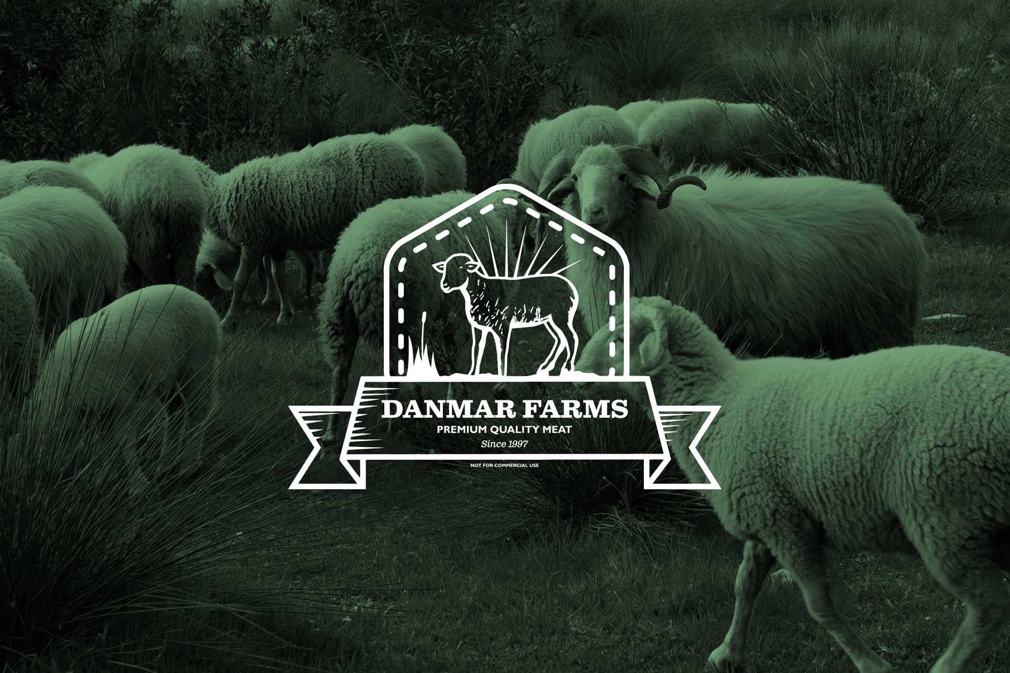 About · Danmar Farms
